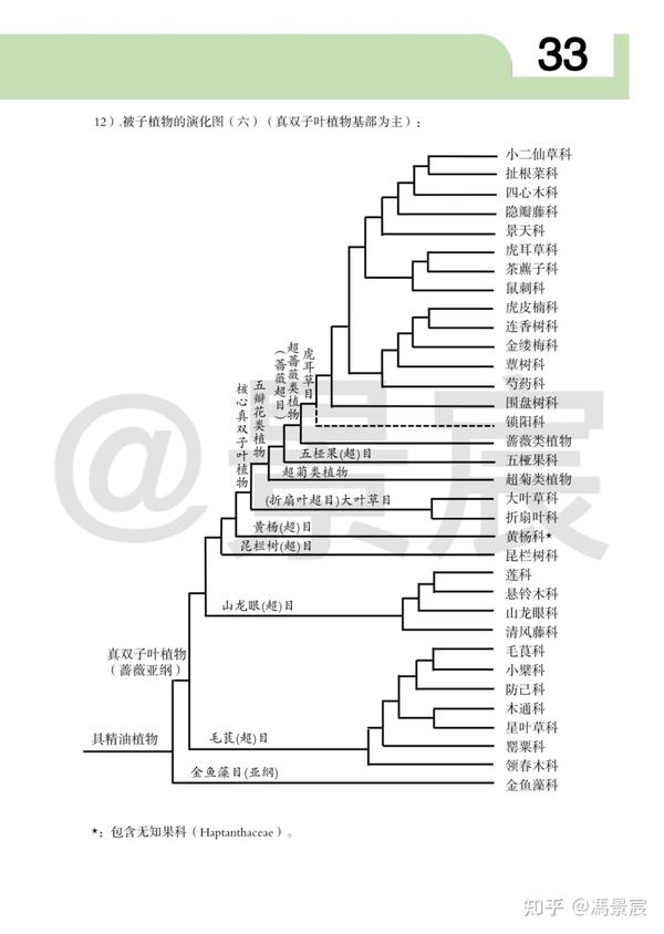 植物系统发生树及植物演化2 - 知乎