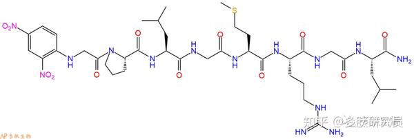基质金属蛋白酶MMP介绍及汇总 - 知乎