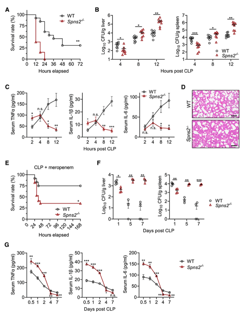 EMBO Reports丨增强巨噬细胞中的 Spns2/S1P 可减轻脓毒症中的过度炎症并防止免疫抑制 - 知乎