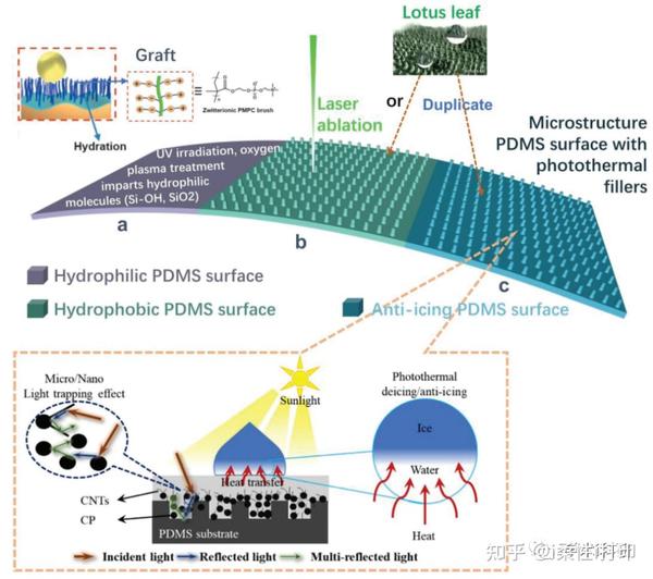 柔性基底 PDMS 最新的那些事儿 - 知乎