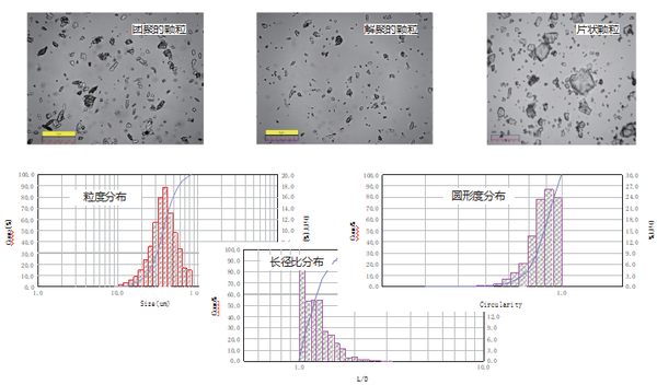 图像颗粒分析系统 在原料药及辅料的晶形及大小检测 - 知乎