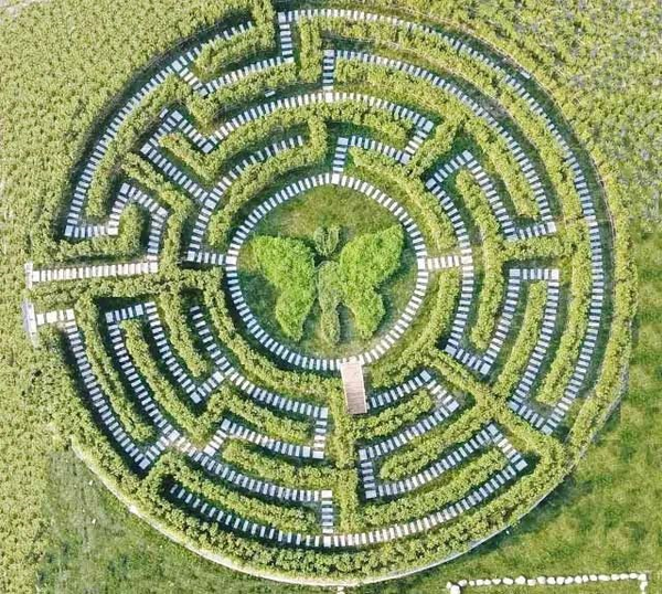 放开想象，原来亲子迷宫可以这样设计？ - 知乎