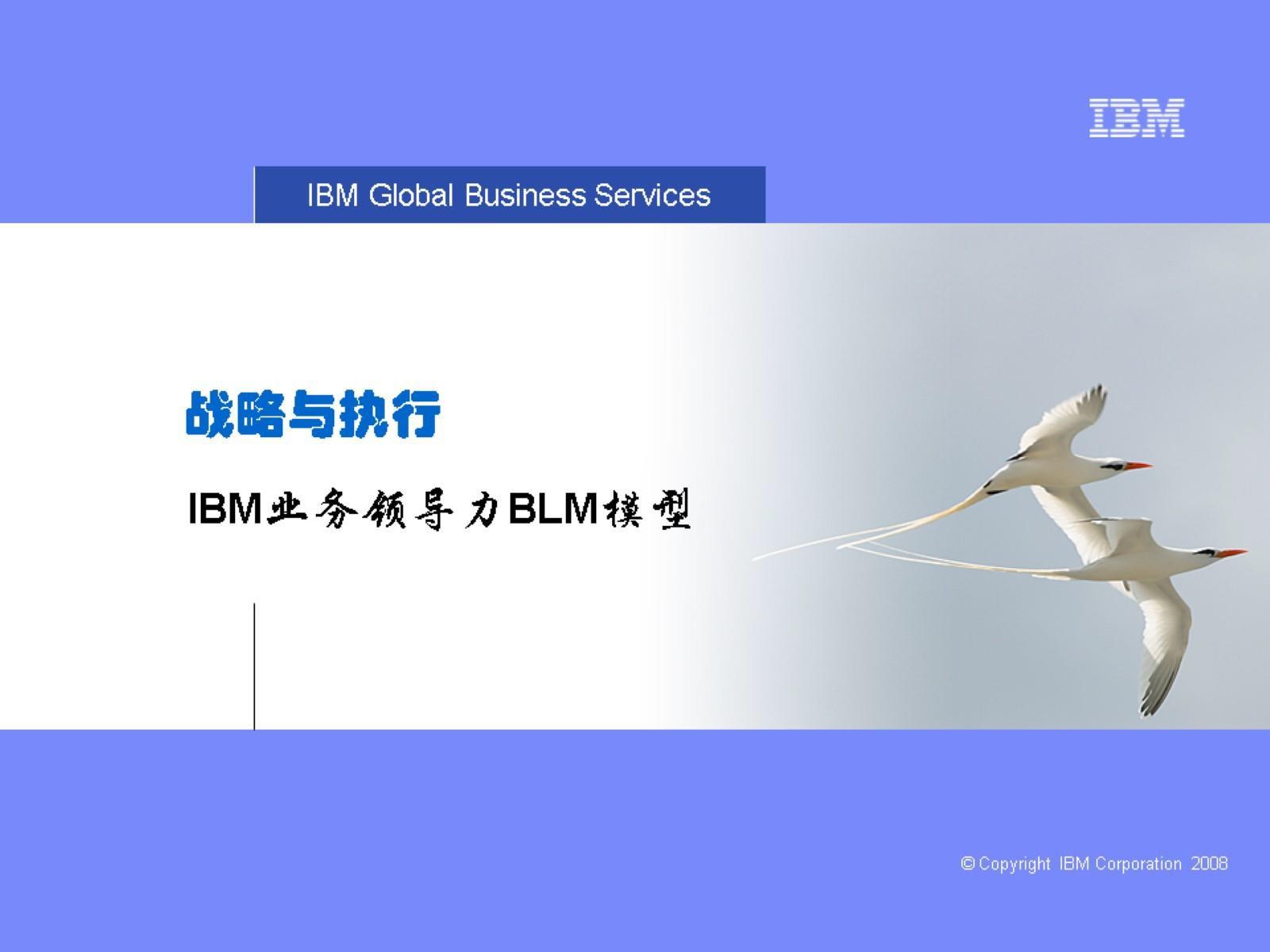 BLM模型（PPT） - 来自IBM - 知乎