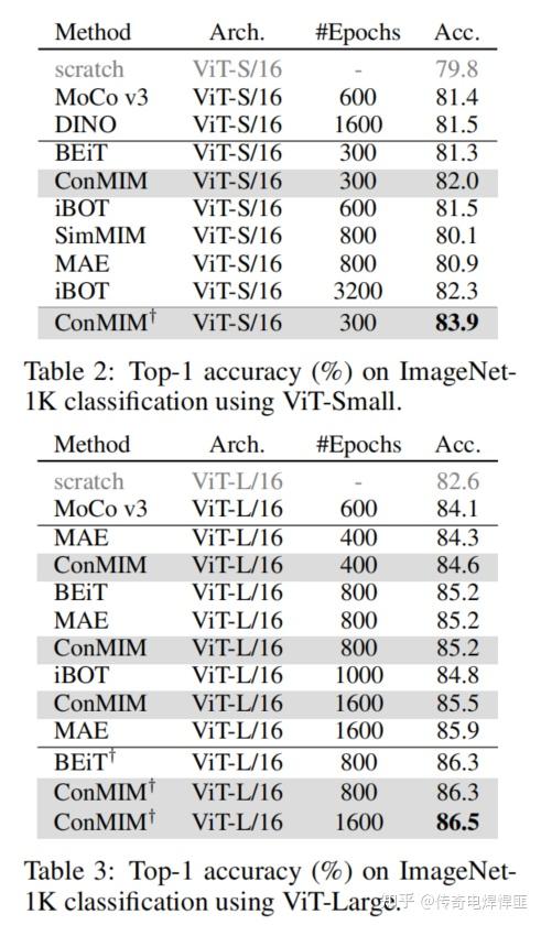 [ICLR 2023] Masked Image Modeling with Denoising Constrast - 知乎