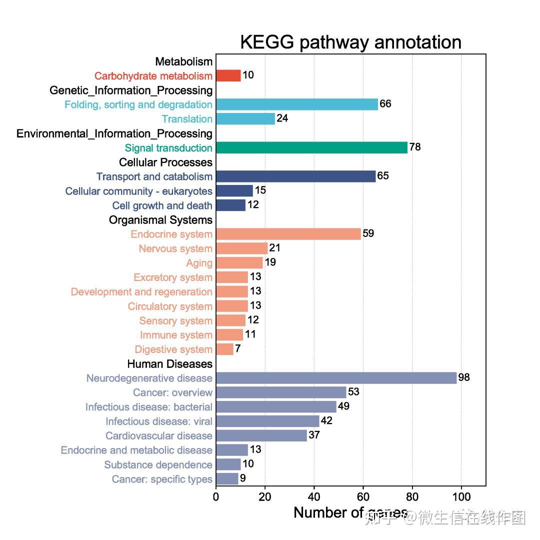 KEGG Pathway通路二级分类汇总，轻松找到感兴趣的通路 - 知乎