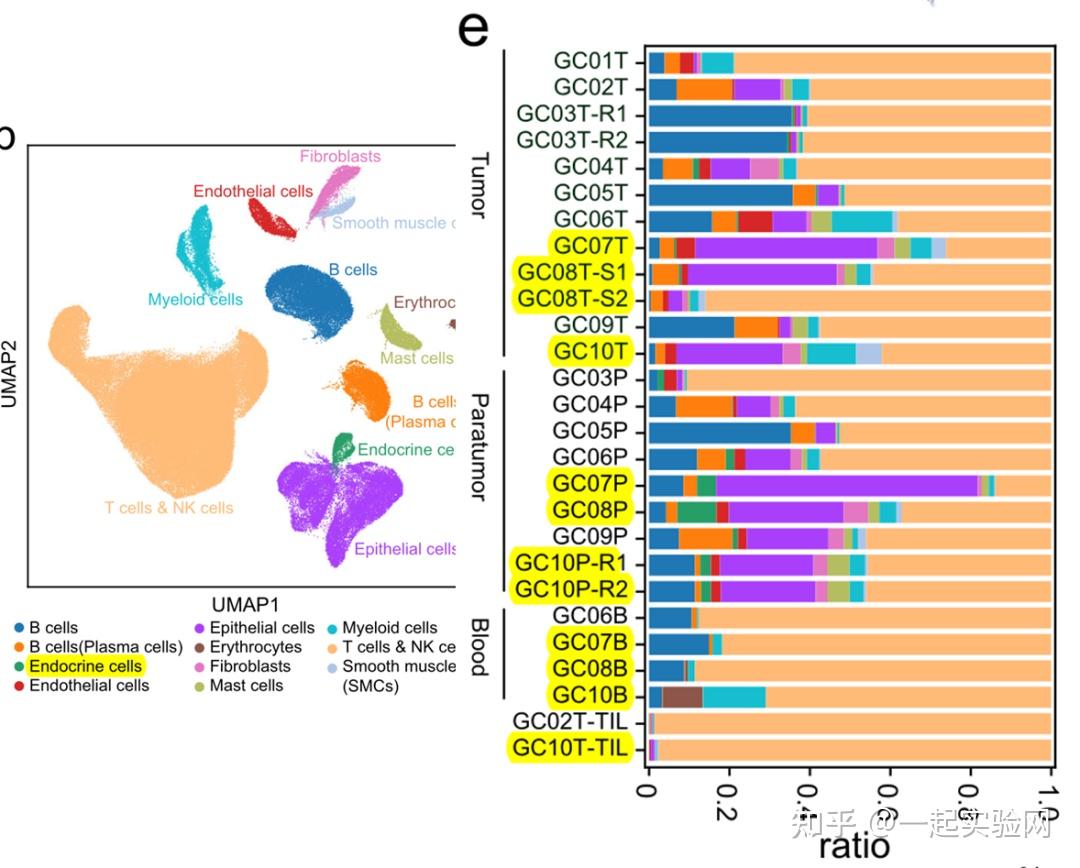 胃癌的scRNA-seq显示了复杂的细胞间相互作用和可选择的T细胞衰竭轨迹 - 知乎