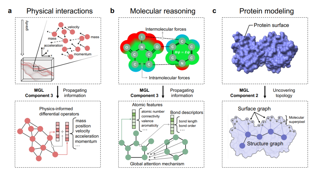 多模态图学习怎么用？哈佛最新《几何多模态表示学习》综述，28页pdf阐述多模态图学习在图像、语言、自然科学等应用 - 知乎