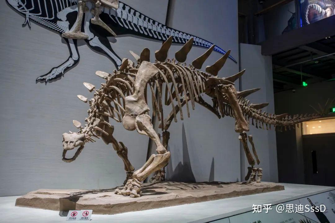 博物馆Vol.104 | 山东博物馆 - 知乎