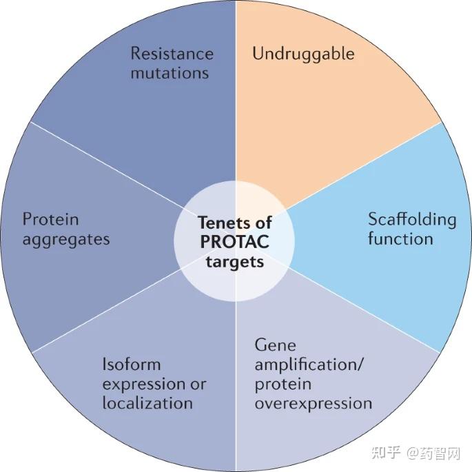 解决“不可成药”和“耐药”，Nature总结PROTAC发展四大趋势！ - 知乎