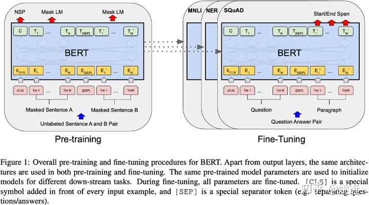 大模型技术之 BERT（Bidirectional Encoder Representation from Transformers）预训练简介 - 知乎