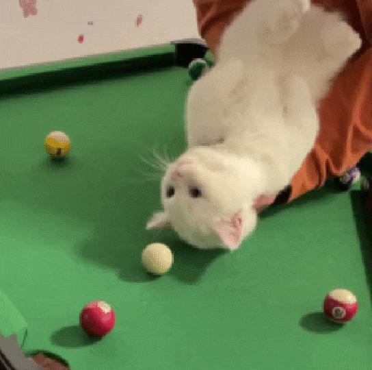 【Vue 3入门】认识Vue 3前端开发框架，了解Vue3新特性！ - 知乎