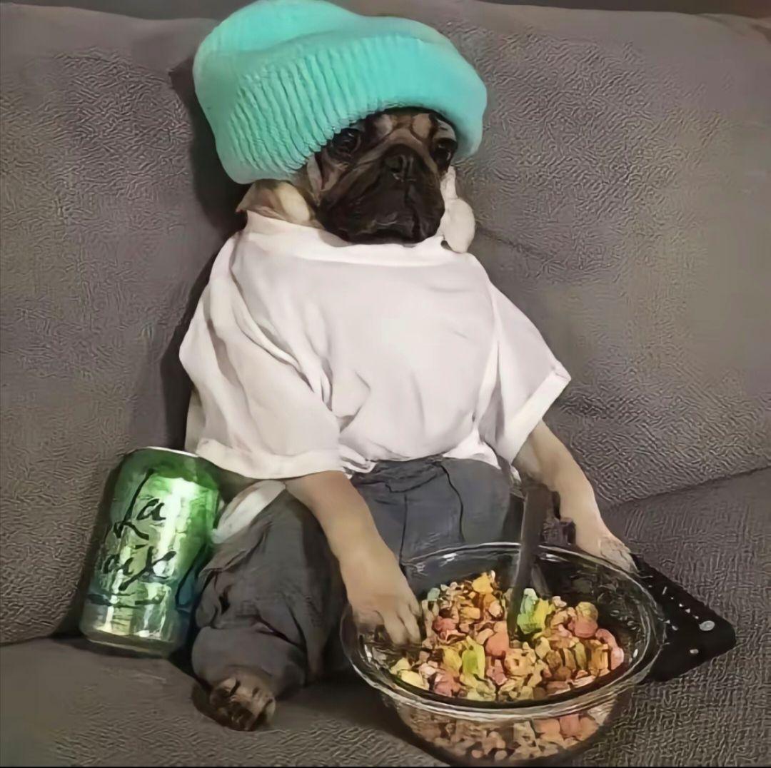 可爱神经有病女生头像分享 - 知乎