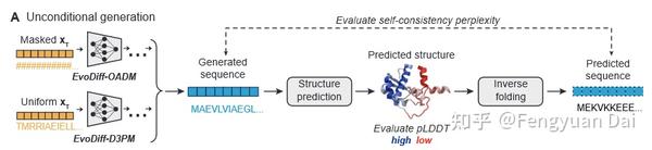 蛋白质设计EvoDiff：Sequence is all you need - 知乎