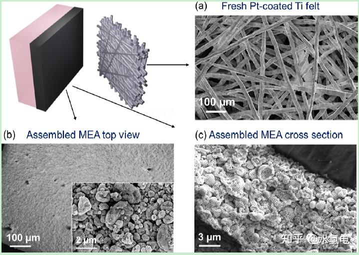 ACS CM：探测PEMWE中IrO2阳极催化剂层的降解 - 知乎