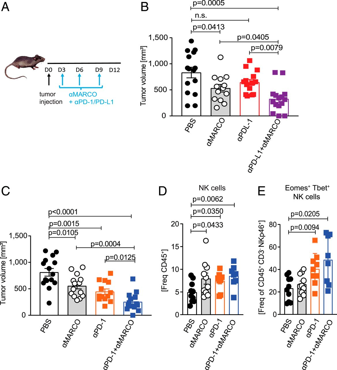 PNAS最新成果：癌症免疫疗法新兵——MARCO抗体 - 知乎