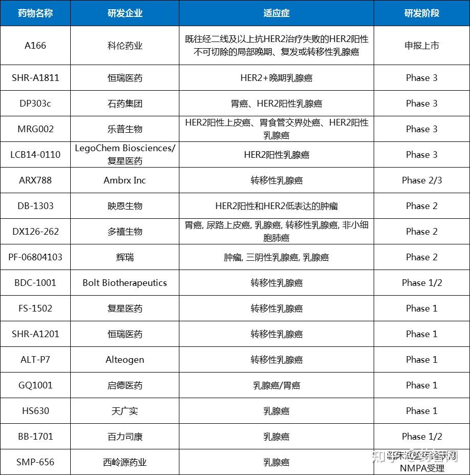 HER2靶点在研及上市药物分析 - 知乎