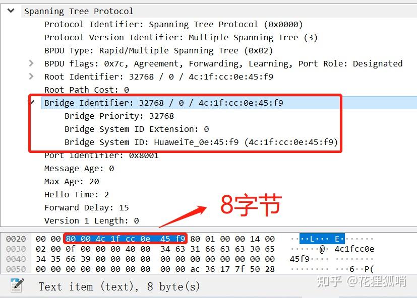MSTP报文格式 - 知乎