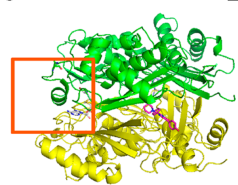 MAT2A靶点临床在研抑制剂开发进展 - 知乎