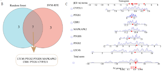 6分+纯生信！bulk RNA-seq和单细胞联合分析，外加代谢新切入点“花生四烯酸代谢”！助力发文的巧妙思路，值得借鉴~ - 知乎