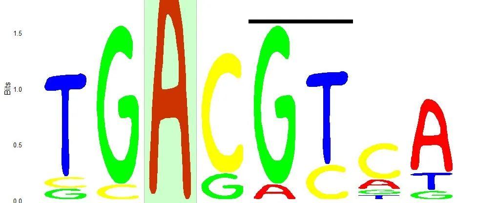 R可视化——ggseqlogo包绘制序列分析图 - 知乎
