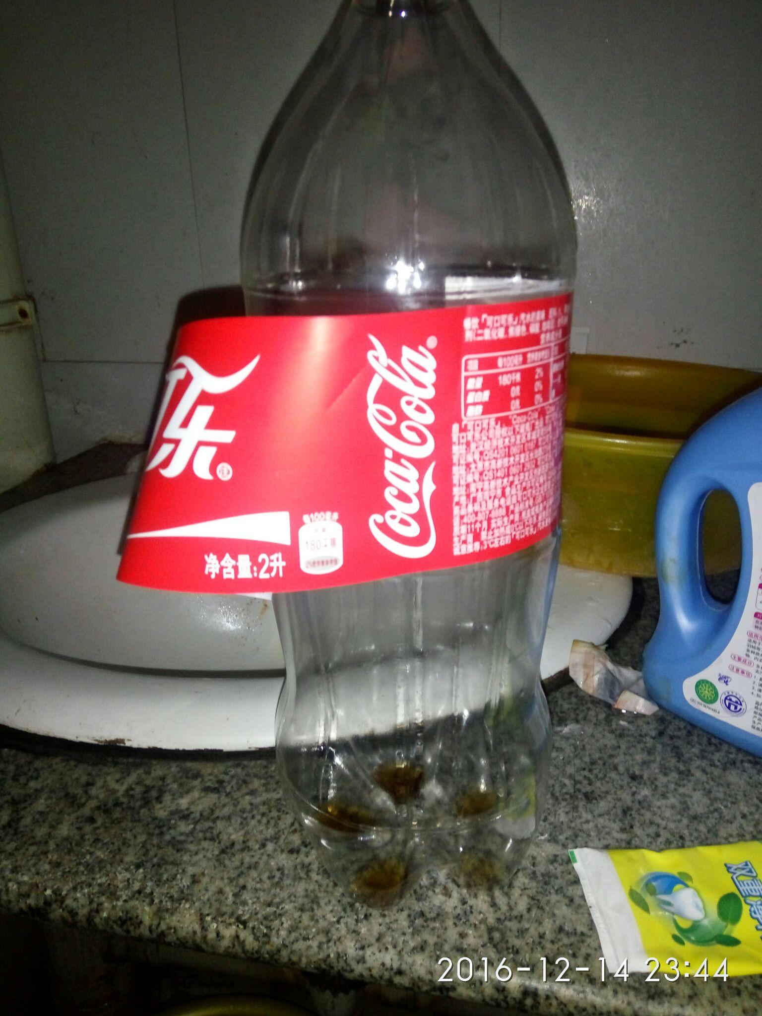 一口气喝完一瓶2L的可乐是怎样一种体验？ - 知乎