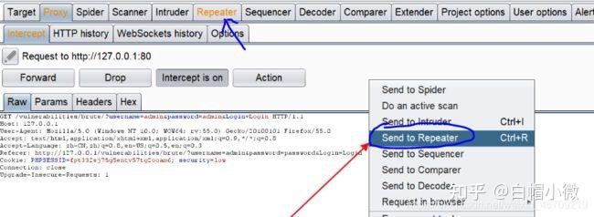 burpsuite工具的使用（详细讲解） - 知乎