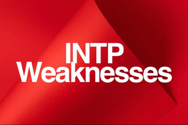 INTP 的 7 大弱点及其应对方法（2023 年） - 知乎