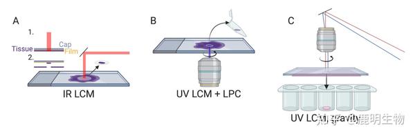 空间转录组技术发展历程大揭秘 - 知乎