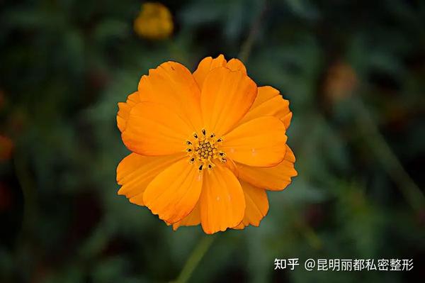 月经期过后多久能同房,要注意什么? 知乎