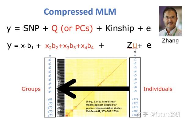 利用GAPIT进行gwas和gs分析（附带方法介绍） - 知乎