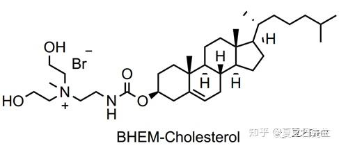 用于RNA递送的脂质和高分子材料 - 知乎