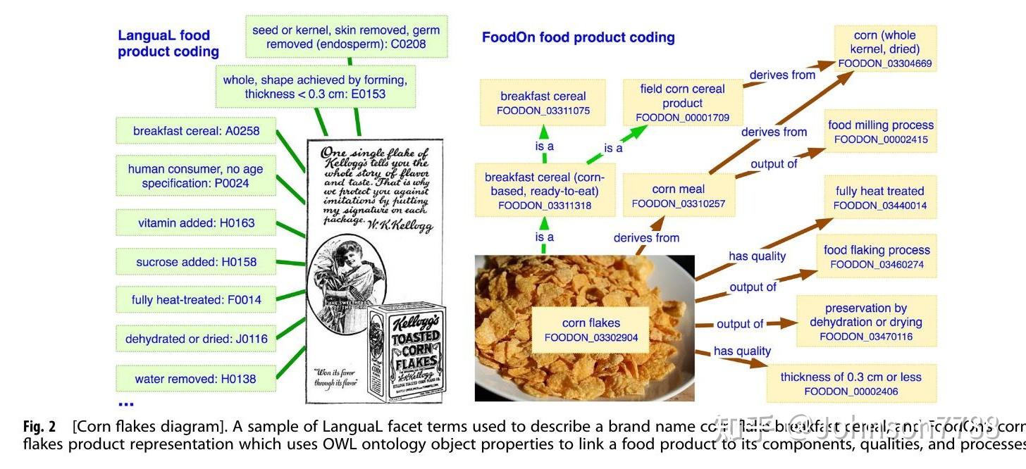 FoodOn: 一个统一的食品本体，以提高全球食品可追溯性、质量控制和数据整合 - 知乎