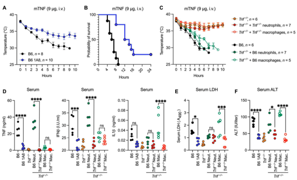 Science新子刊丨TRIFosome丨TNF 通过中性粒细胞和巨噬细胞的TRIF/CD14通路诱导死亡 - 知乎