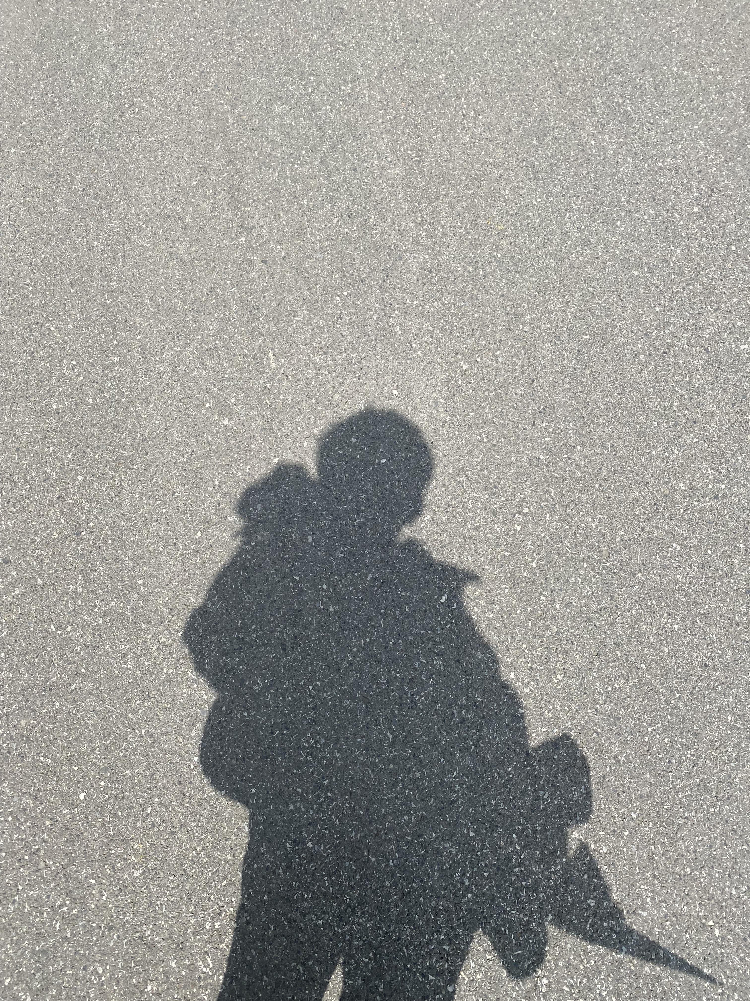 小熊形状的DX3906 - 知乎