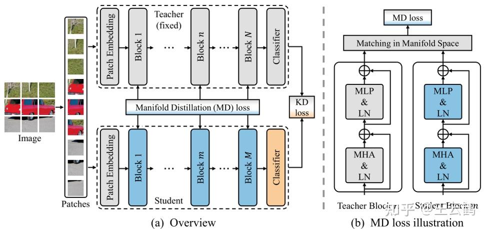NeurIPS 2022 | 已开源 | Manifold Distillation：华为视觉Transformer流形级知识蒸馏方法 - 知乎