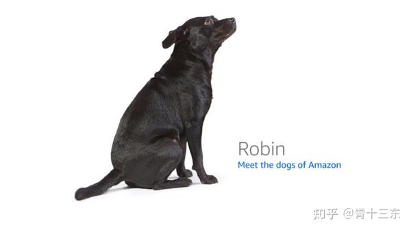 【多图预警】亚马逊Listing变成的狗到底有多少只？ - 知乎