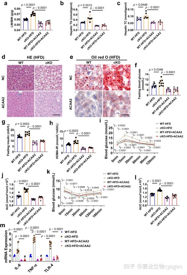 哈尔滨医科大学潘振伟团队发现调控NAFLD疾病进程的新型蛋白CAND1 - 知乎