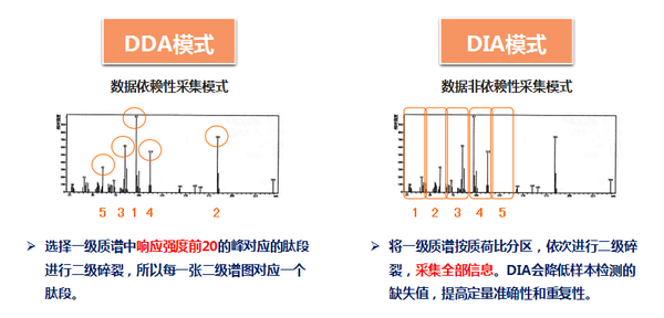 蛋白质组学知多少—如何区分DDA&DIA！ - 知乎