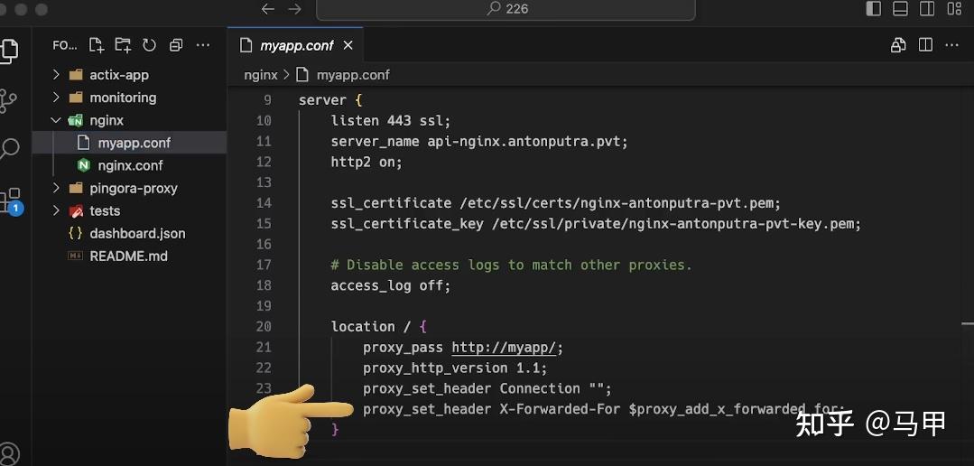 性能比拼: Pingora vs Nginx (My NEW Favorite Proxy) - 知乎