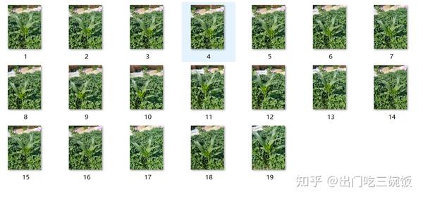 Nerf如何制作自己的llff数据集 - 知乎