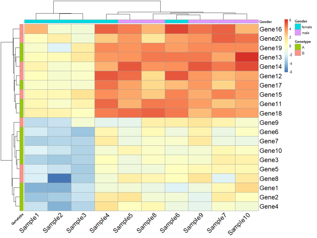 R语言学习笔记（四）—pheatmap - 知乎