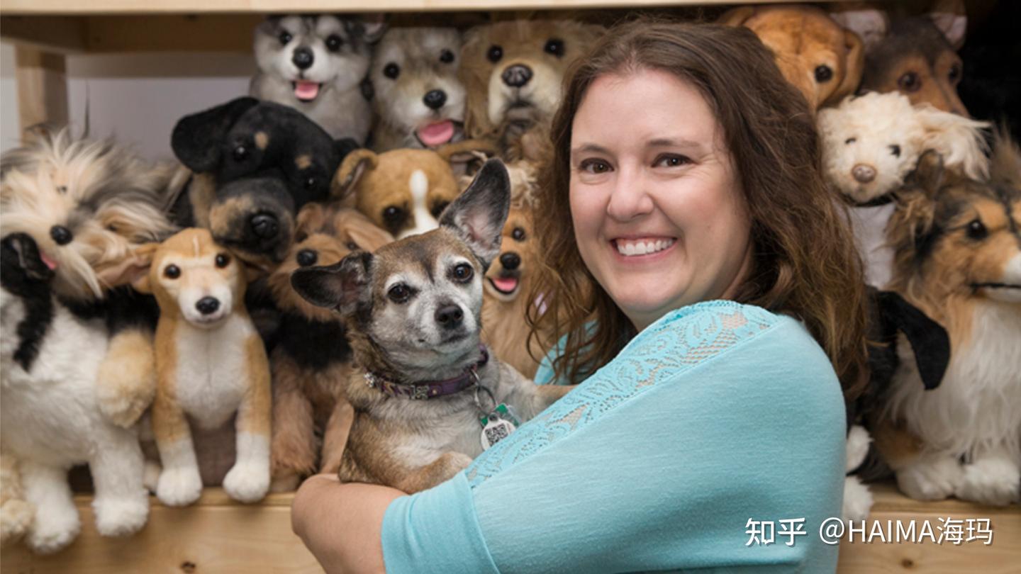 海外网红营销：TikTok流量破亿的定制宠物玩偶CUDDLE CLONES如何玩转营销？！ - 知乎