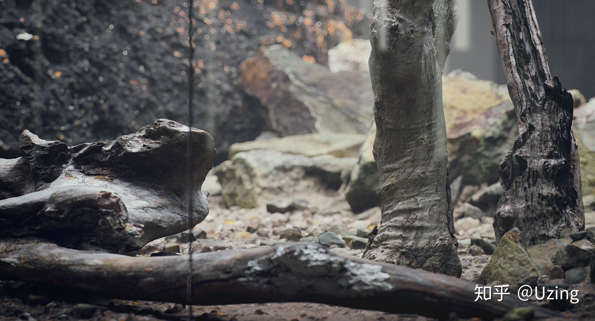 如何用Megascans做出照片级作品？ - 知乎