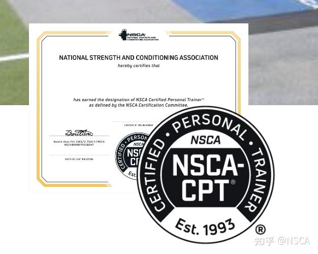 NSCA┃走进NSCA！！ - 知乎