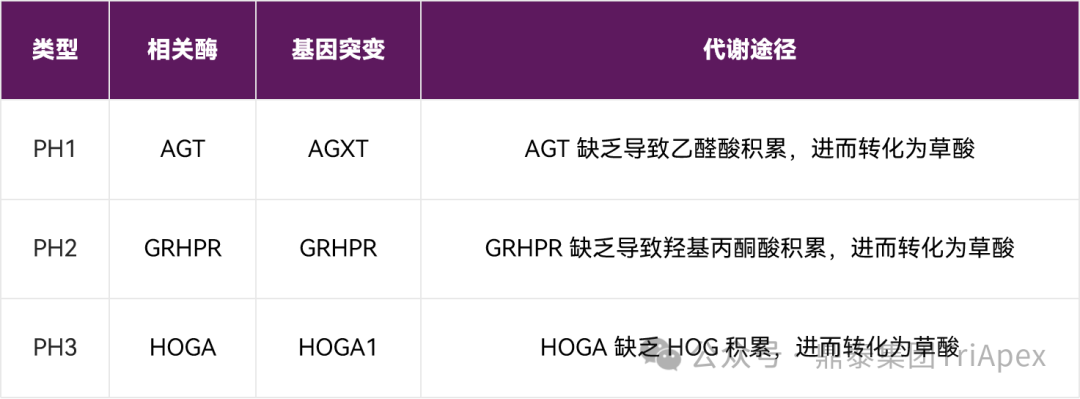 他山之石-6丨GalNAc-siRNA 药物 Nedosiran 上市历程及临床开发路径总结 - 知乎