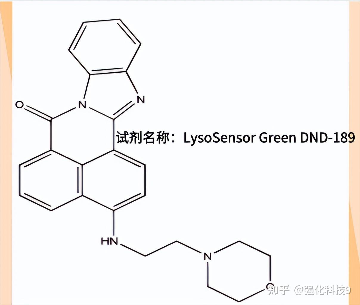 LysoSensor Green DND-189可用于测量溶酶体等酸性细胞器的pH值 - 知乎