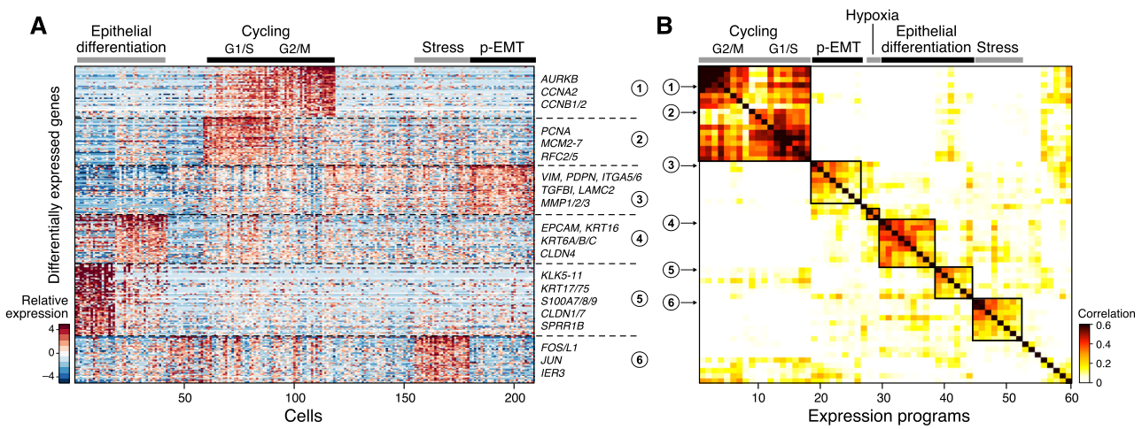 单细胞分析实录(16): 非负矩阵分解(NMF)检测细胞异质性 - 知乎