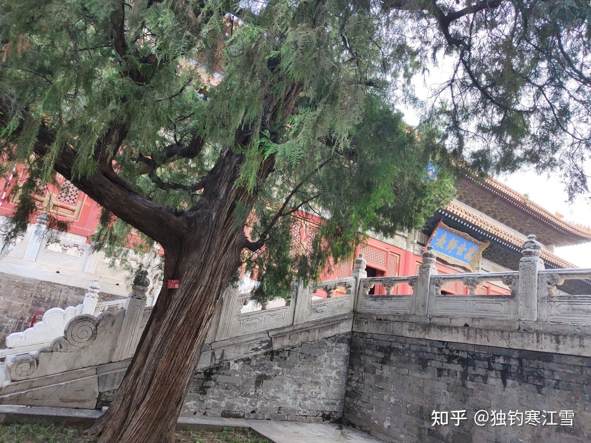 孔庙和国子监博物馆半日游 知乎