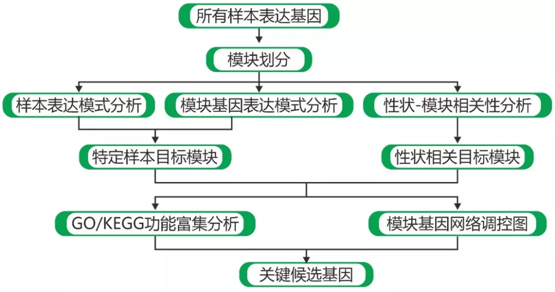 如何利用WGCNA分析转录组数据 - 知乎