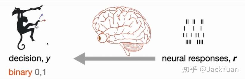 Neuro-match计算神经科学暑期学校-Week1学习笔记 - 知乎